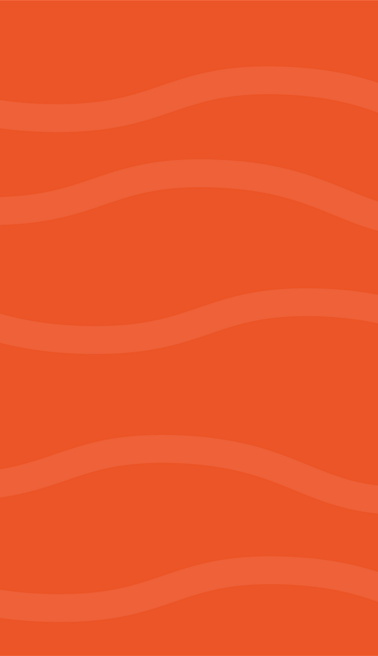 S'NOODS | Everyone's Favorite Snack Noodle